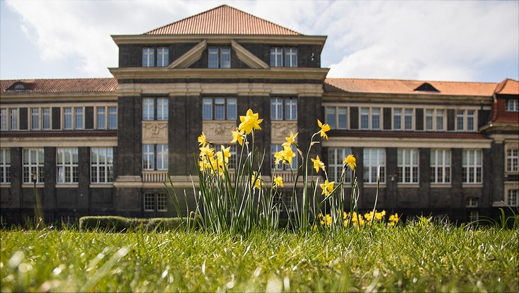 Doktorandin in Rat für Nachhaltigkeit : University of Hamburg Business ...