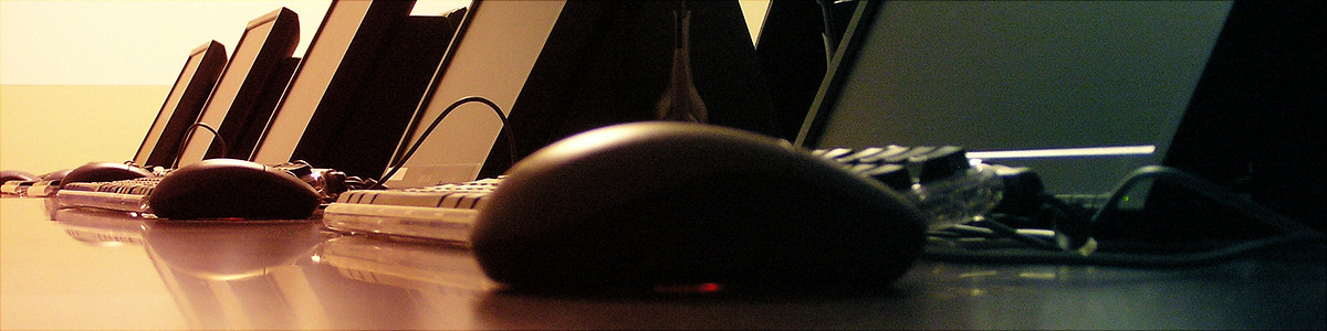 MSc in Information Systems : Institute of Information Systems ...